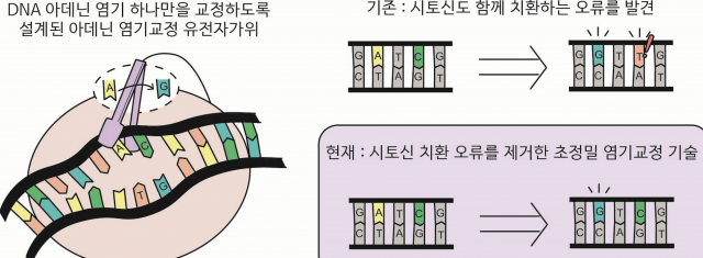 이달의 과학기술인상 차세대 초정밀 유전자 가위 기술 확보···10년 내 치료제 상용화”