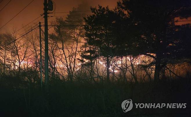 강원 삼척 근덕면서 산불강풍 타고 불길 1㎞ 확산종합