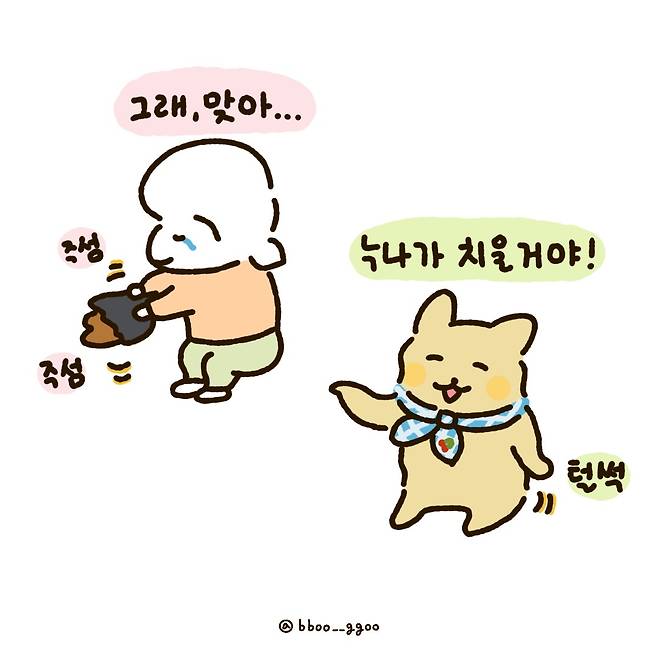 😎집사 아니죠 댕댕이 풉 컬렉터라고 불러주세요 비마이펫