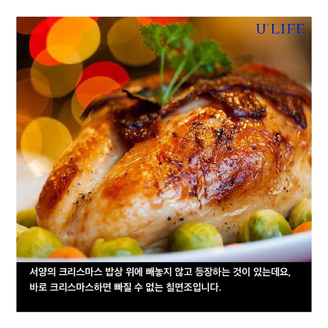칠면조 요리 없는 크리스마스 유라이프