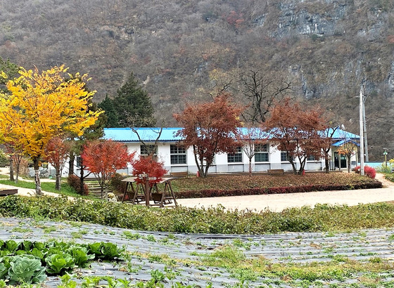 개가 고개 이름 만들었다동강 U라인 뼝대 V라인이 빚은 명승