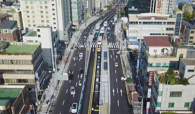 가로수 다 뽑고 나니 버스중앙차로제 공사 전면 재검토