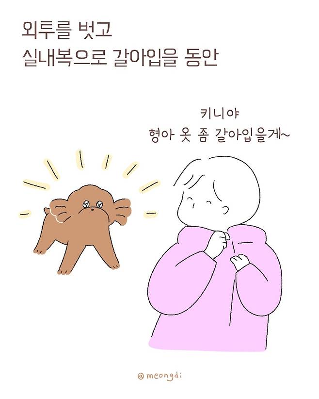 꼬리에서 딸랑딸랑 방울 소리 날 것 같은 강아지 키니일기