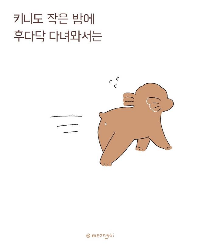 꼬리에서 딸랑딸랑 방울 소리 날 것 같은 강아지 키니일기