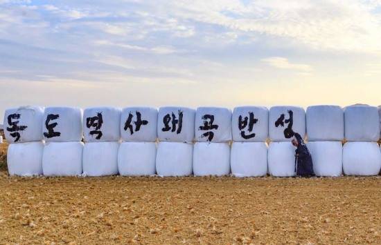 독도 역사 왜곡 반성하라쌍산 김동욱 서예가 글쓰기로 행위예술