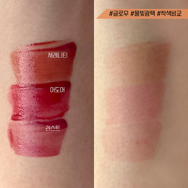 봄 웜 라이트 모여라 디어달리아 블루밍 에디션5 리뷰 트렌드숲