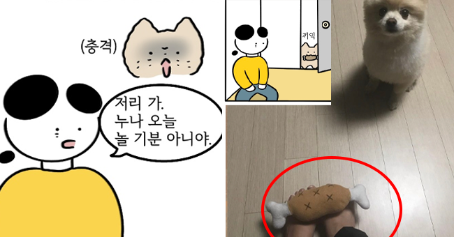 🐶집사 지켜주는 듬직한 댕댕이 여기까지 온다고 비마이펫