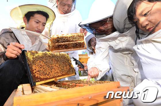 광주시 15~17일 시민 체험양봉장 참가자 모집180명 선발