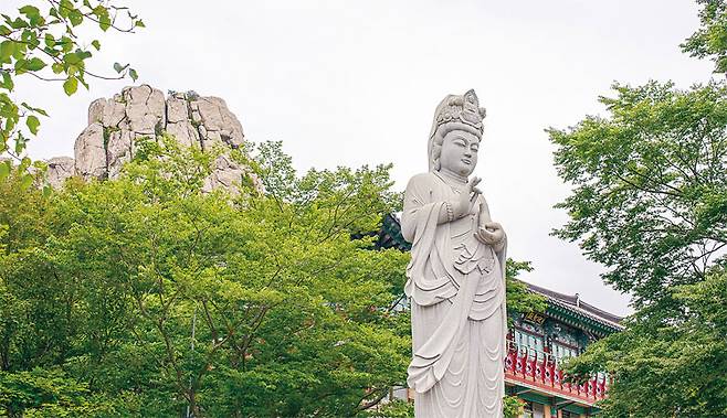 최갑수의 여행이라는 꽃다발 경남 남해 그곳엔 이미 봄이 당도해 있었습니다