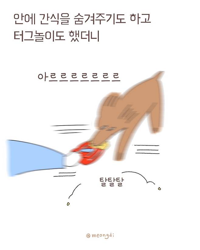 놀고 싶은데 장난감에 앞이 안보이는 강아지 키니일기