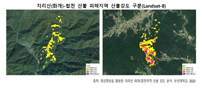 121㏊ 탔지만 숲은 이겨냈다···지리산 산불 달랐던 비밀은 활엽수림