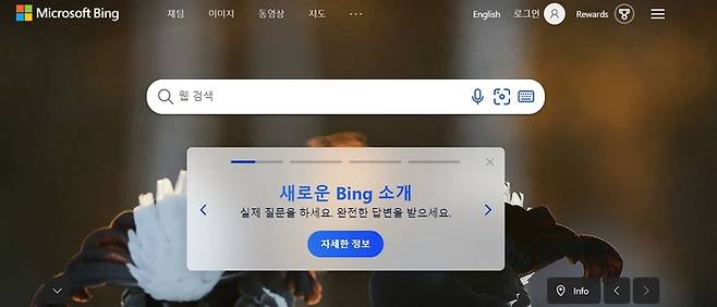 “daum.ai 14억에 팔아요”···‘.com’ 도메인 선점 후 되팔기 재현?