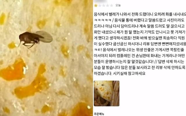 음식에 파리가 나왔어요”환불요청 고객에 화난 식당들 왜