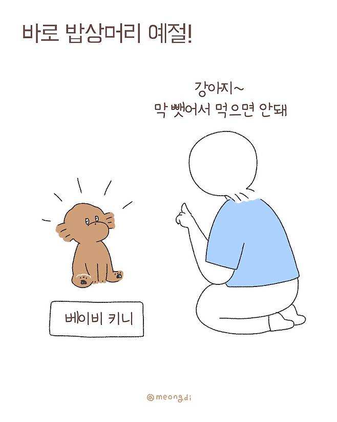 나도 그거 먹고싶어 눈치 보며 주인 손가락 핥는 강아지 키니일기