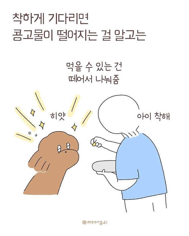 나도 그거 먹고싶어 눈치 보며 주인 손가락 핥는 강아지 키니일기