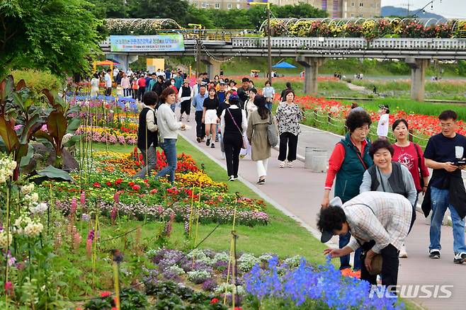 100억송이 봄꽃 장관 장성 황룡강 꽃길축제 장사진