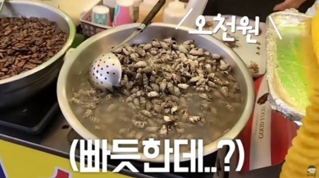 함평나비축제 어묵 한그릇 ‘만원日유튜버 실화냐”