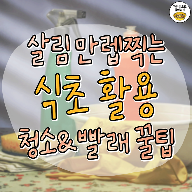 식초를 활용한 여름철 청소and빨래 꿀팁 총정리 자취생으로 살아남기