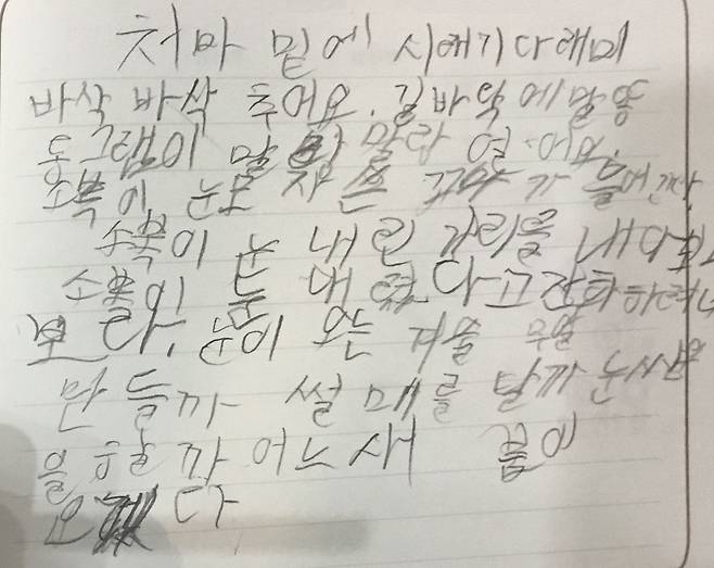 트렌드 120만원 짜리 악필 교정 학원에 자녀 보내는 부모들학교 글쓰기 교육은 반대해도 문해력 저하는 싫어