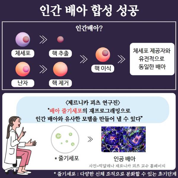 카드뉴스 인간배아 제조 성공 복제인간 현실로