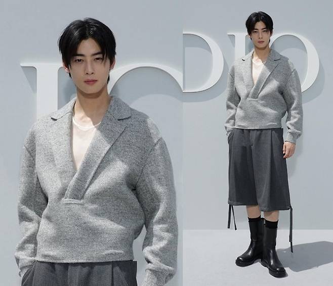 차은우 여자옷 입었나 디올도 반한 우아한 젠더 플루이드 패션 패션엔