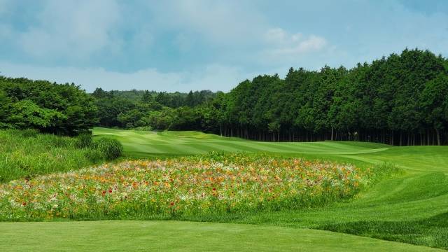 정대균기자의 한국 골프장 순례 ‘신들의 정원사이프러스cc