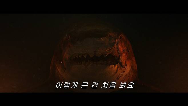 최근 거대상어와 직접 싸운 톱스타의 믿기힘든 모습 필더무비