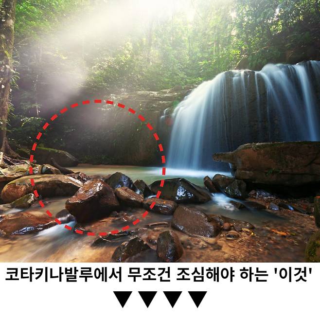 세계에서 6번째로 작은 나라 리히텐슈타인 여행가면 꼭 가봐야하는 여행 명소 여행탐구