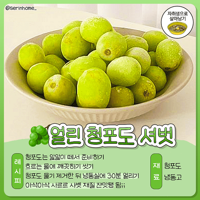 여름 과일로 만드는 신박한 디저트 레시피 모음집 자취생으로 살아남기