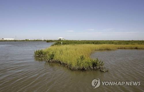Louisiana Coastal Restoration