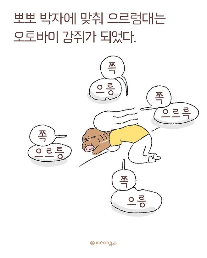 으르릉 으르르릉 오토바이 강아지 키니일기