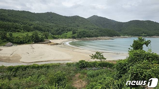 가고 싶은 섬 아기공룡 둘리가 여수 낭도 왔었나