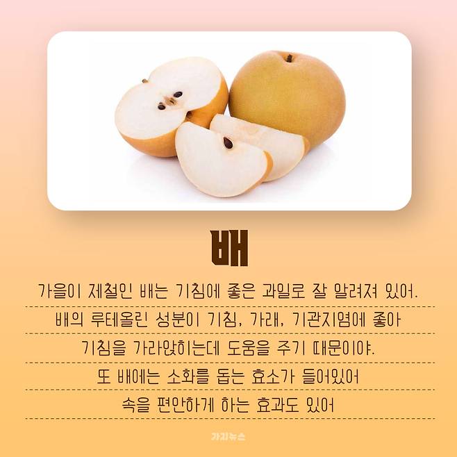 환절기 면역력 절대 지켜 지금부터 챙겨 먹어야 할 음식 6 가지뉴스