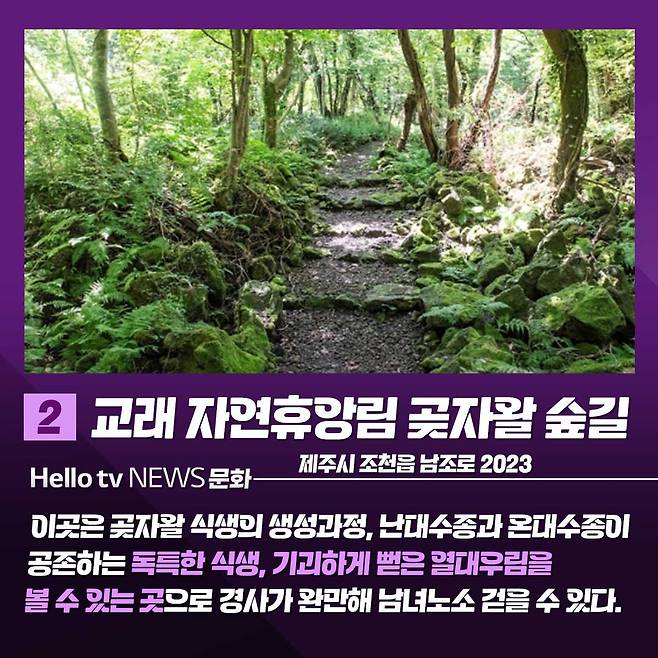 산림청 선정 걷기 좋은 명품숲길 Best 5 소개♡ 지역연구소 지랩
