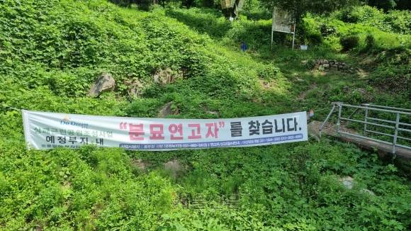 단독 묘지 사용기한 30년 알고 계셨나요 아무도 모르는 ‘한시적 매장 제도 2023 파묘 리포트③