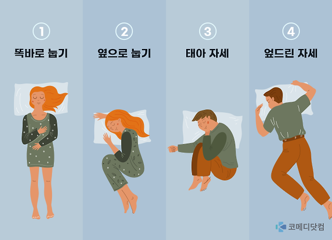 건방진 퀴즈 똑바로 엎드려잠자는 자세로 성격 알 수 있다