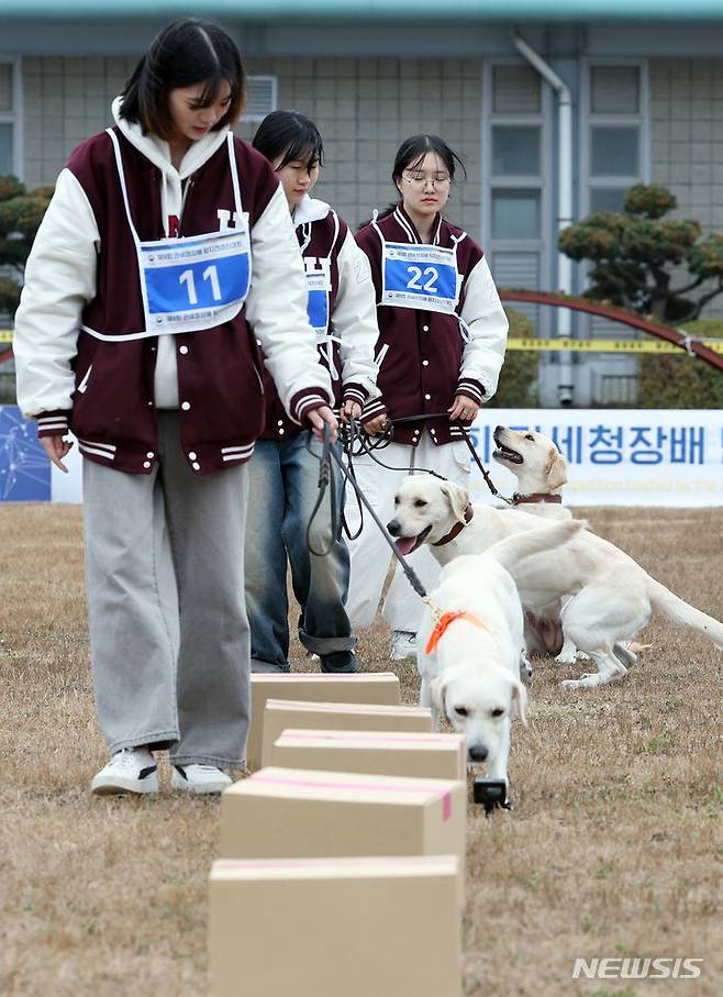 최고 탐지견은 누구 관세청장배 탐지견 경진대회 뉴시스pic