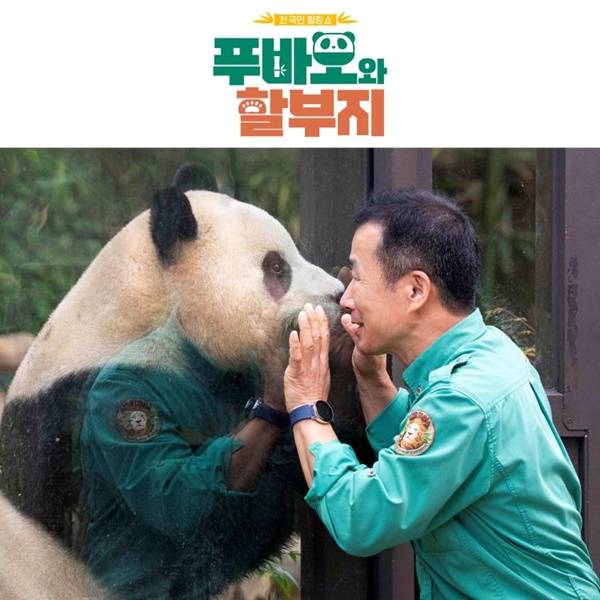 4부작 푸바오와 할부지 23일 첫 방송푸바오·강바오 주연