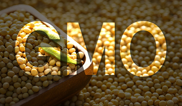 브라질 Gmo 콩 재배 늘면서 소아암 증가”