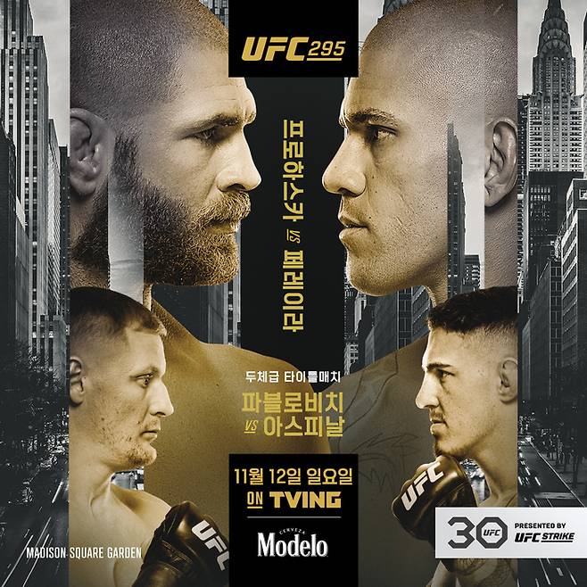 알렉스 페레이라 킥복싱 이어 Ufc 2체급 정복 도전 프로하스카와 라이트헤비급 격돌