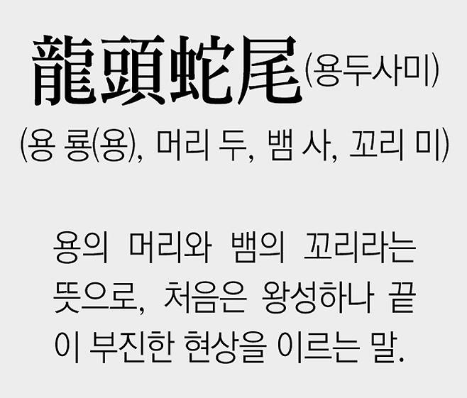 신문과 놀자풀어쓰는 한자성어龍頭蛇尾용두사미용 룡용 머리 두 뱀 사 꼬리 미