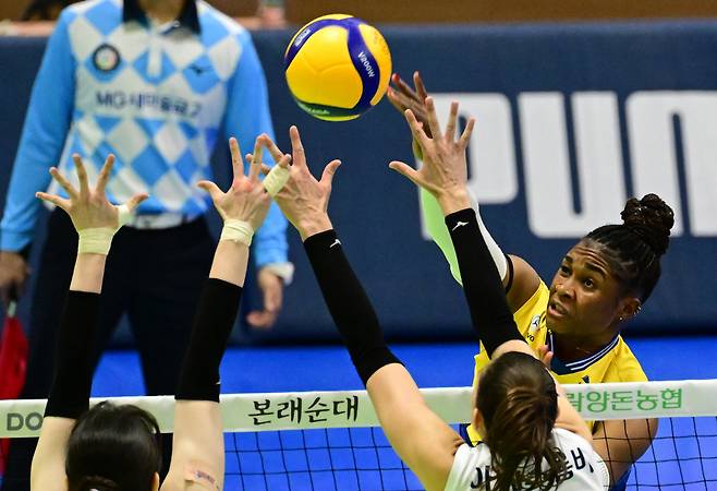국대 세터 진검승부 싱거운 결말현대건설 기업은행 셧아웃 완파 수원 리뷰