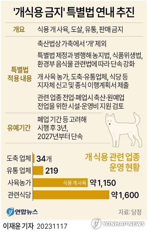 개식용 금지 특별법 연내 추진2027년부터 도살·판매 등 단속