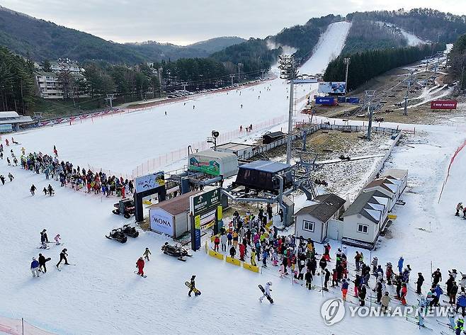겨울아 반갑다 강원 스키장 개막 첫 주말 은빛질주 북적