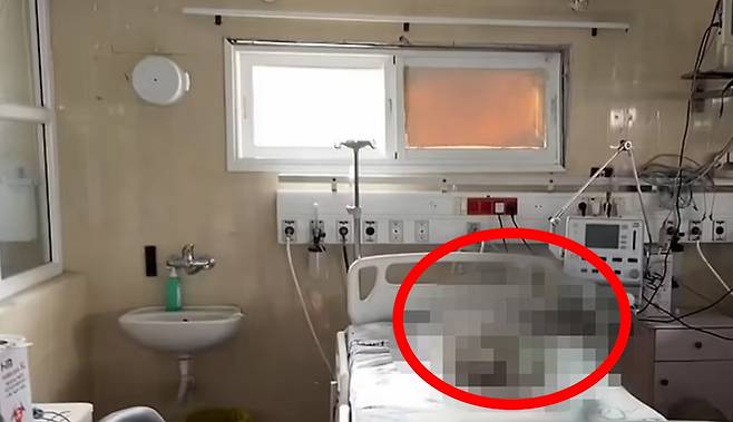 병원에 버려진 부패한 영아 시신들”무너진 가자지구 인권 포착