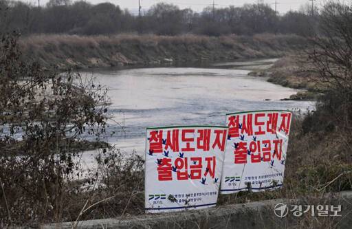 야생조류 고병원성 Ai 확인 위기 단계 ‘심각 포토뉴스