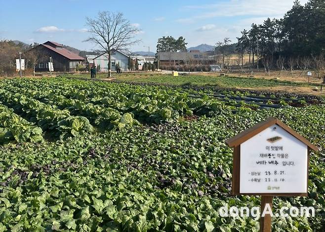 돌 심어도 감자 열린다 매일유업이 고창에 농원 연 이유