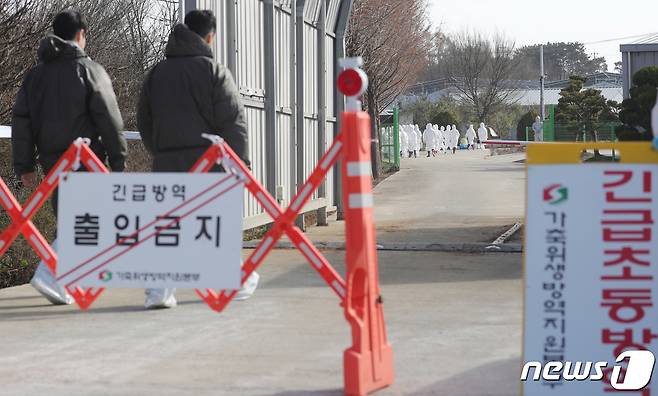 전북 익산 2개 종계농장 Ai 확진전라지역 예방적살처분 1㎞로 확대