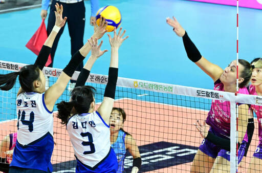 제대로 만났다”v리그 女1·2위 현대건설 Vs 흥국생명 ‘빅뱅