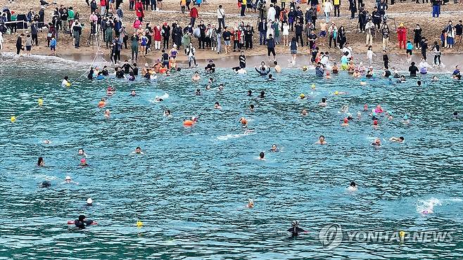 서귀포 겨울바다 국제펭귄수영대회
